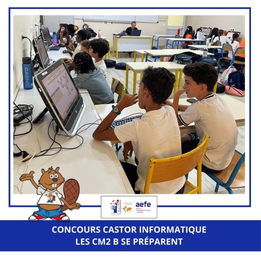 🐾💻 Concours Castor Informatique 2025 💻🐾